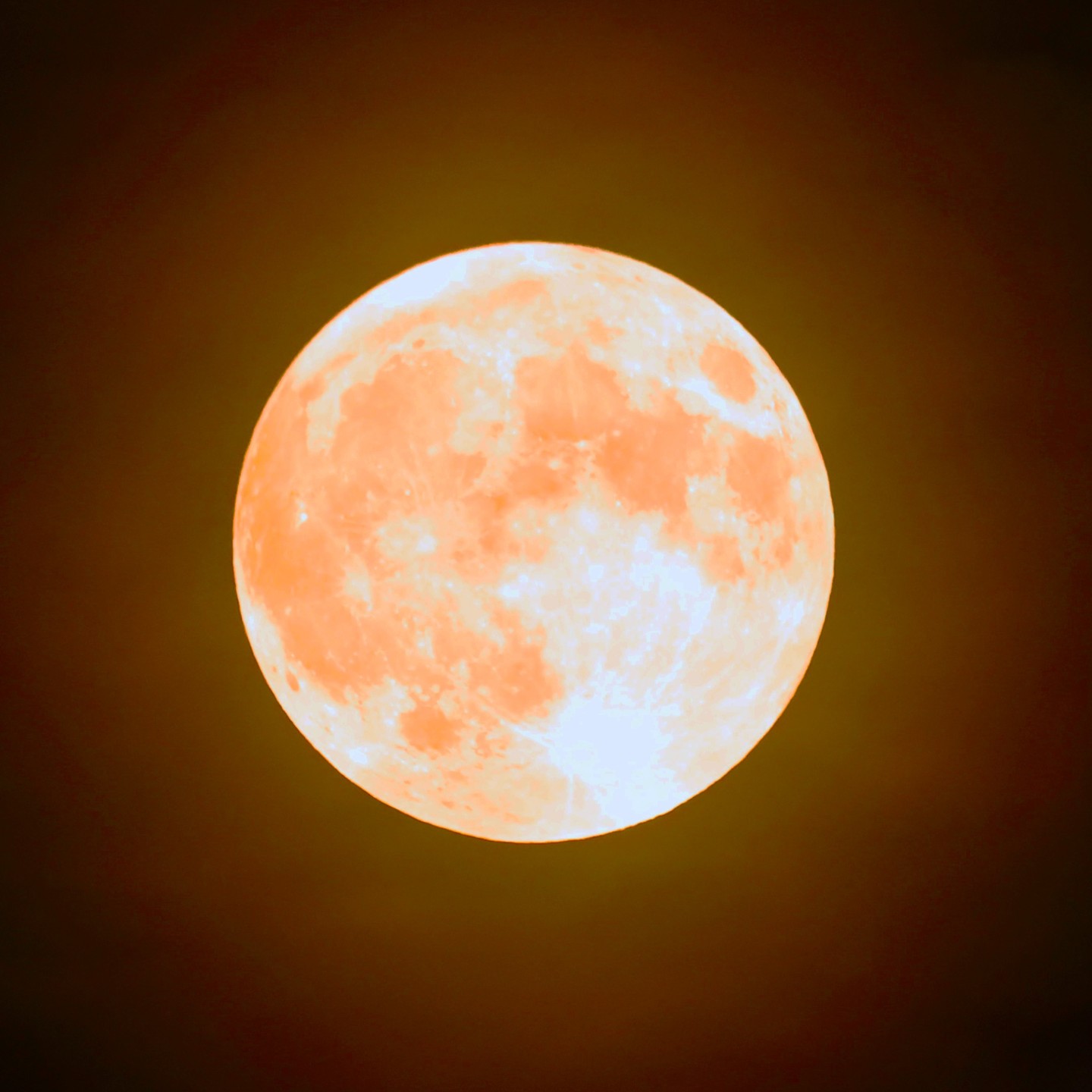 Interview with Robert Kroeger