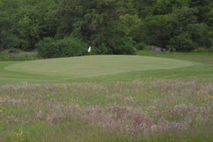­Spruce Ridge Review > BuffaloGolfer.com
